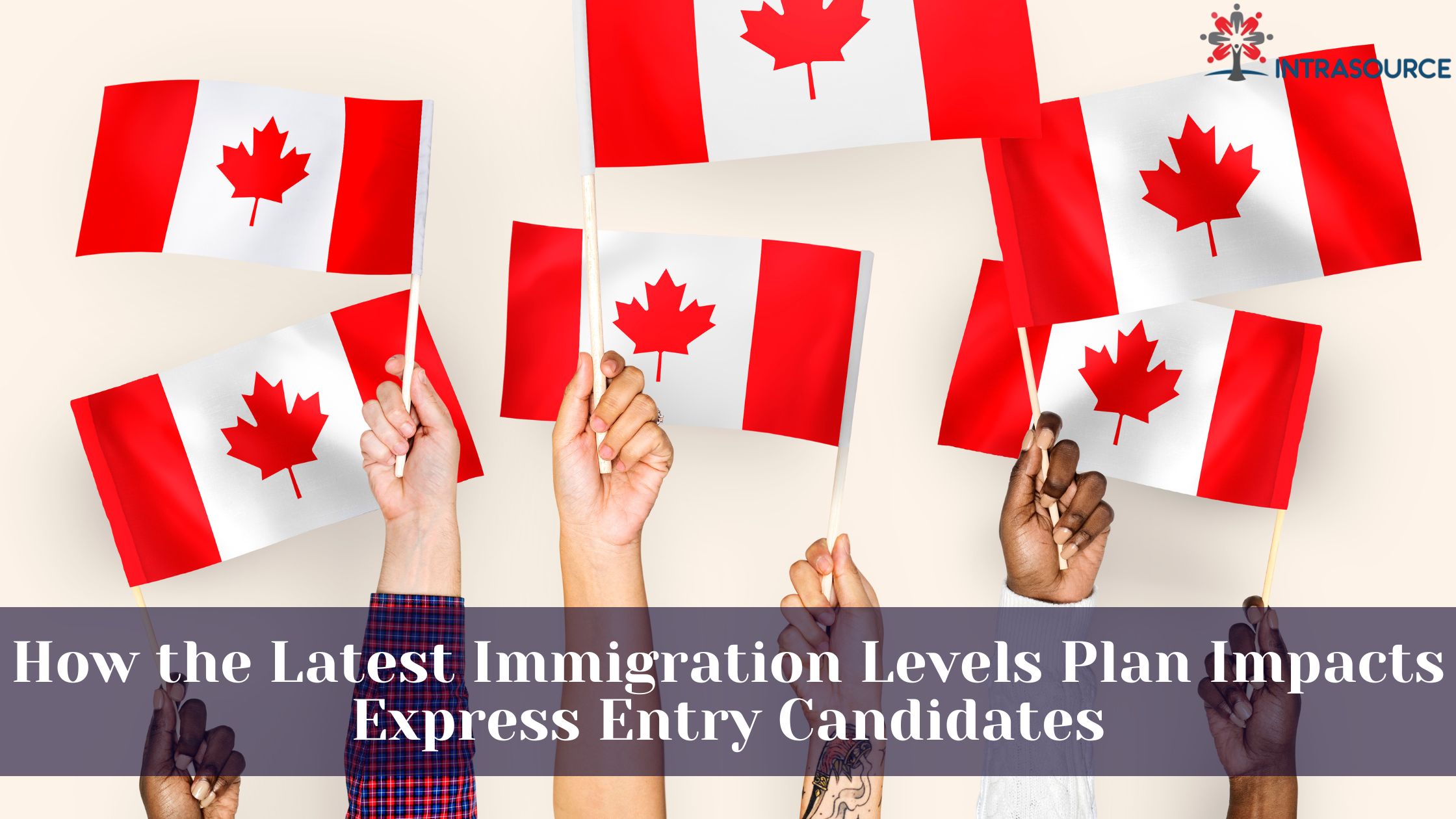 How the Latest Immigration Levels Plan Impacts Express Entry Candidates ...